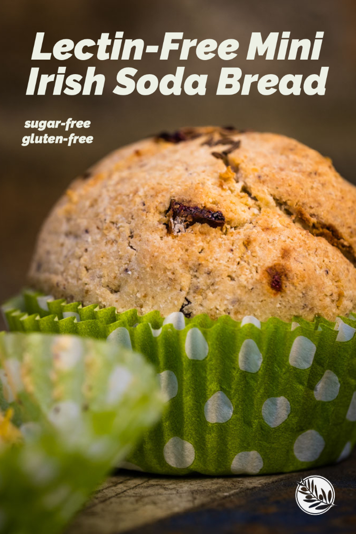 Mini Irish Soda Bread (Gluten-Free, Lectin-Free) - Creative in My Kitchen