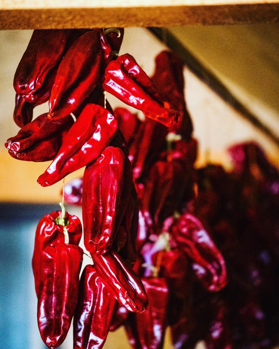 Healthy Pork Paprikash – Tomato-Free, Dairy-Free, Gluten-Free ...