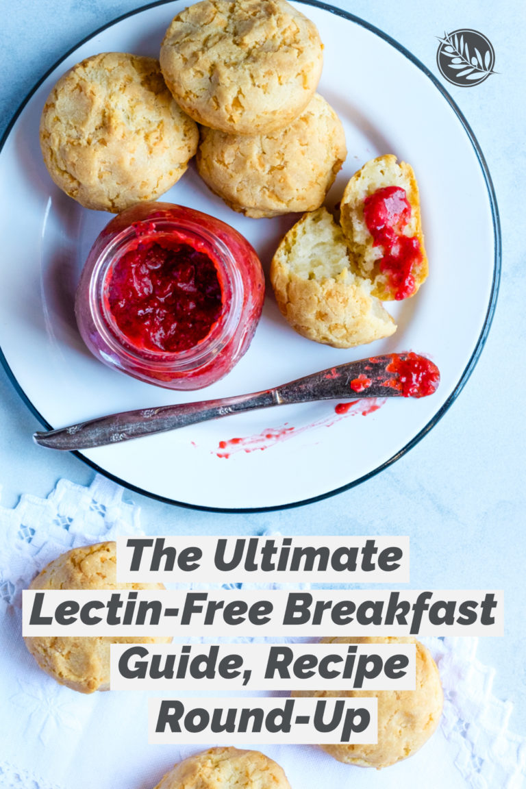 The Ultimate Lectin-Free Breakfast Guide, Recipe Round-Up - Creative in ...