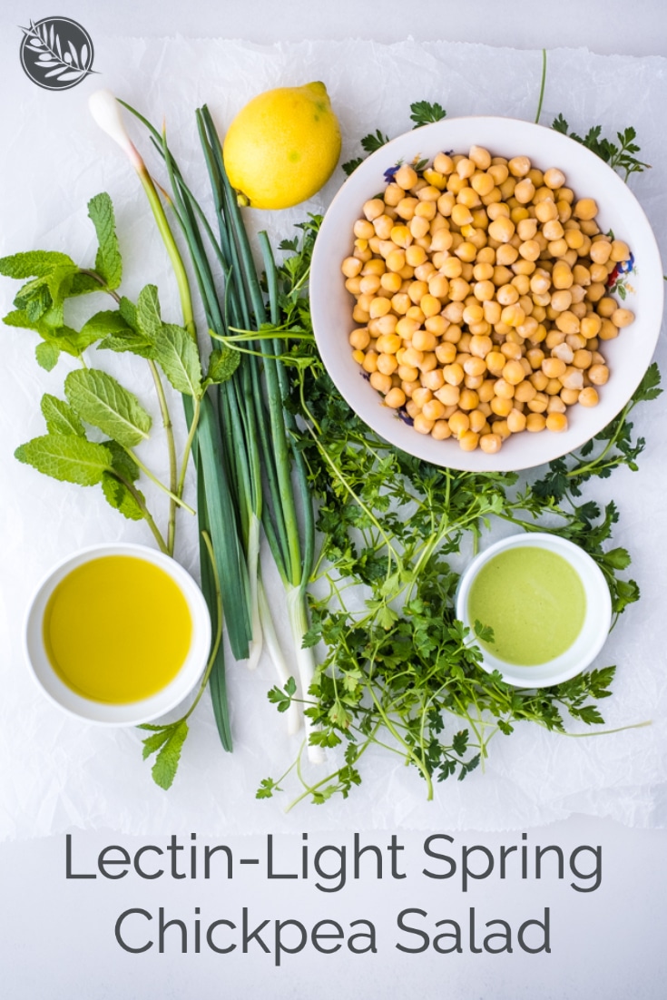Low-Lectin Spring Chickpea Salad - Creative in My Kitchen