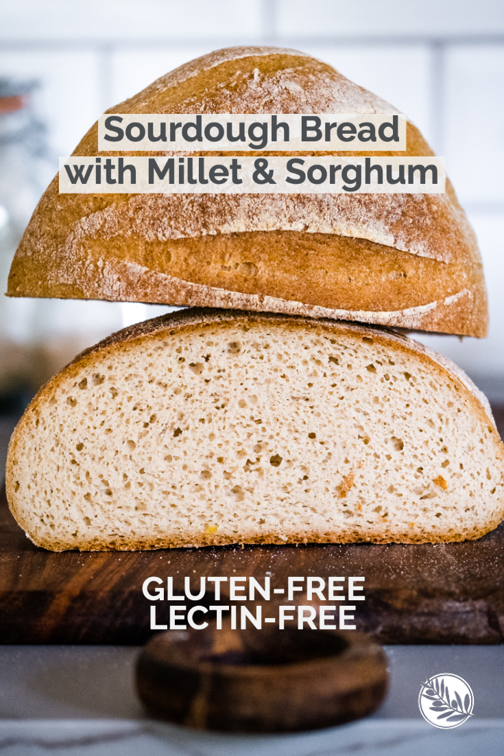Gluten-Free Sourdough Bread Recipe With Sorghum and Millet (Lectin-Free ...