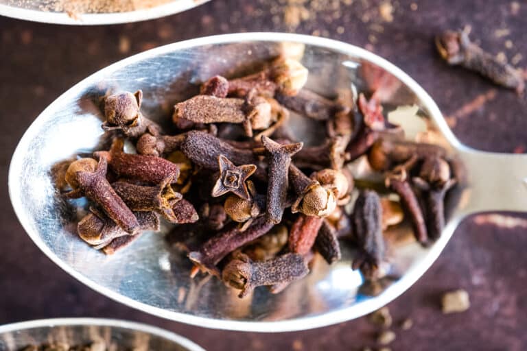 Holiday Warming Spice Blend Recipe - Creative in My Kitchen