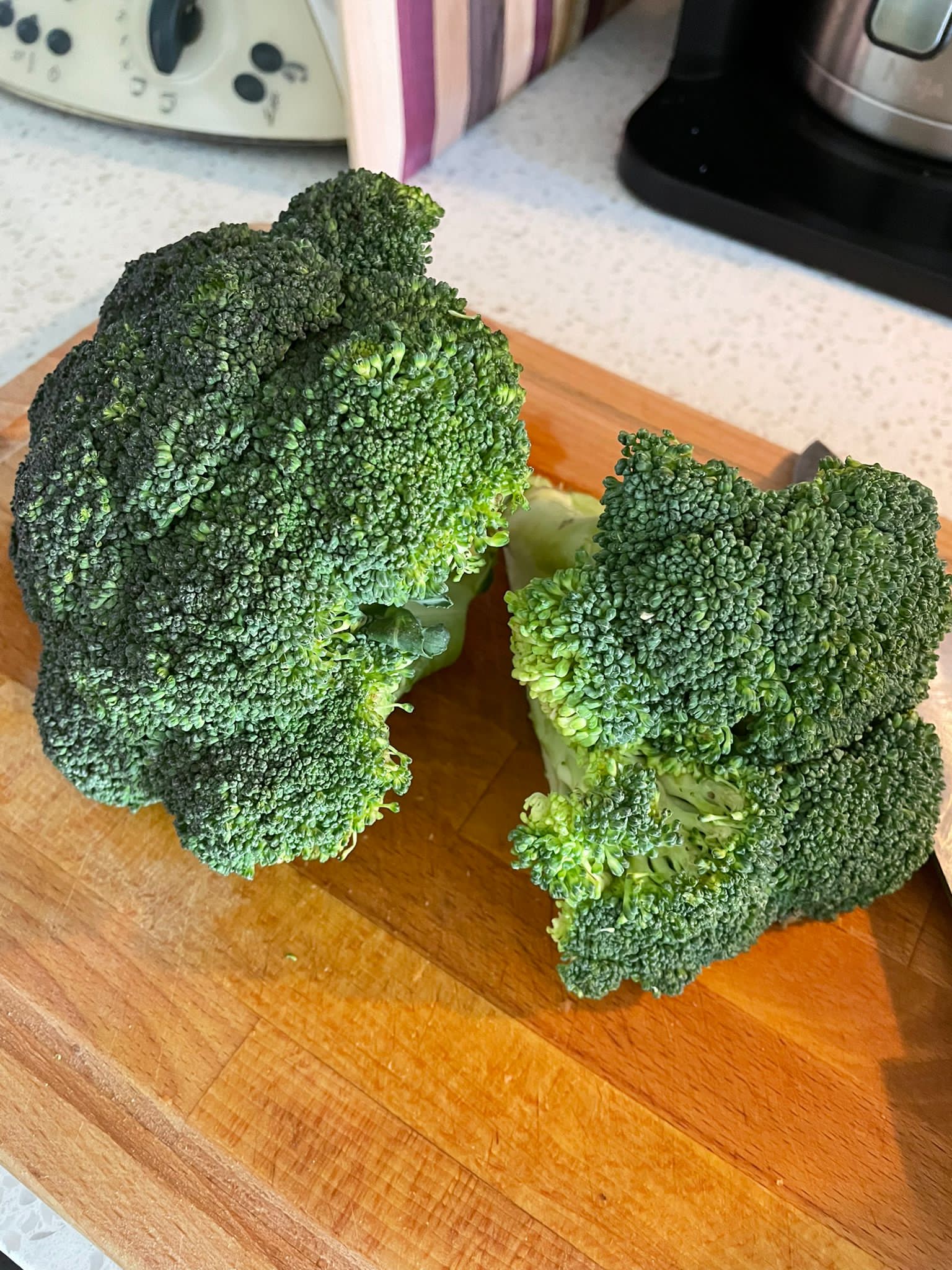 Healthy Dog Food Meal Prep: Homemade Dog Food for a Happy Pup - Creative in My Kitchen