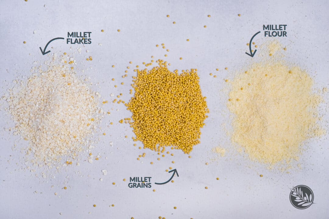 Millet Pancakes with Green Bananas (Gluten-Free, Lectin-Free, Sugar ...