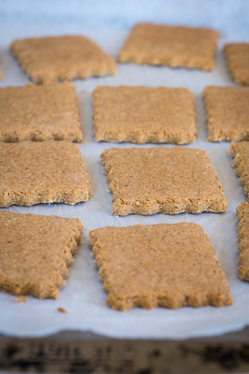 Cinnamon-Flavored Sorghum Crackers (Gluten-Free) - Creative in My Kitchen