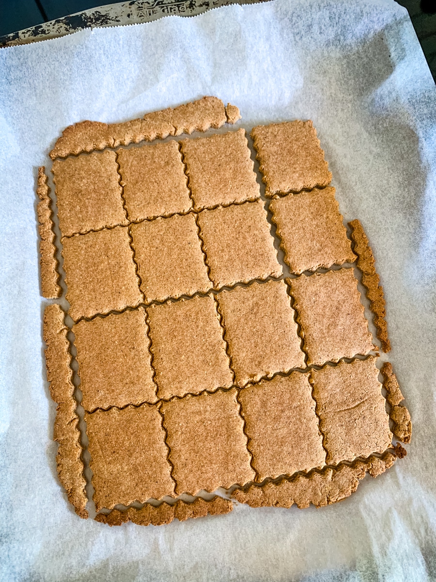 Cinnamon-Flavored Sorghum Crackers (Gluten-Free) - Creative in My Kitchen