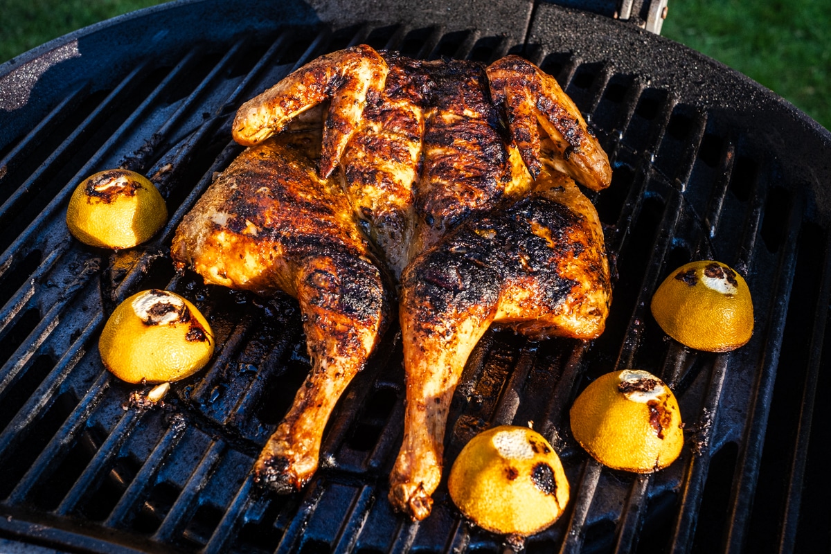 Herb-Infused Grilled Spatchcock Chicken - Creative in My Kitchen
