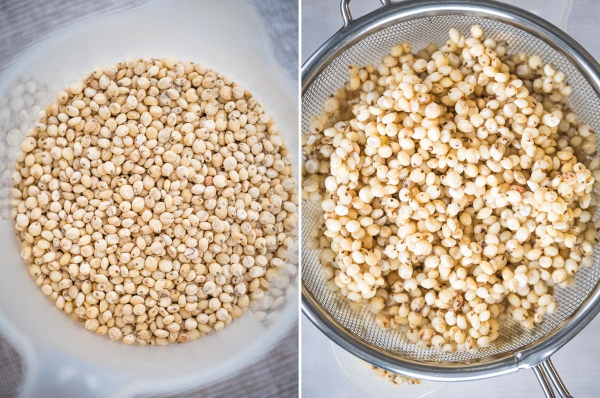 How to Cook Sorghum: A Comprehensive Guide - Creative in My Kitchen