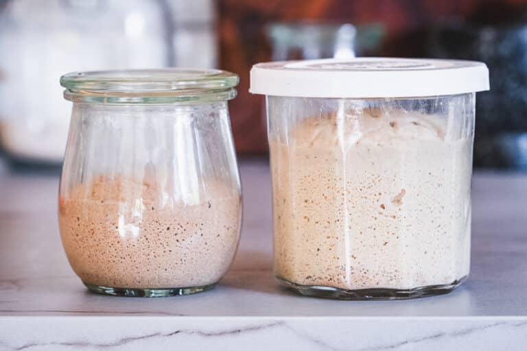 Gluten-Free Sourdough Starter With Millet, Teff, and Sorghum Flour ...