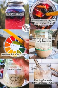 Gluten-Free Sourdough Starter With Millet, Teff, and Sorghum Flour ...