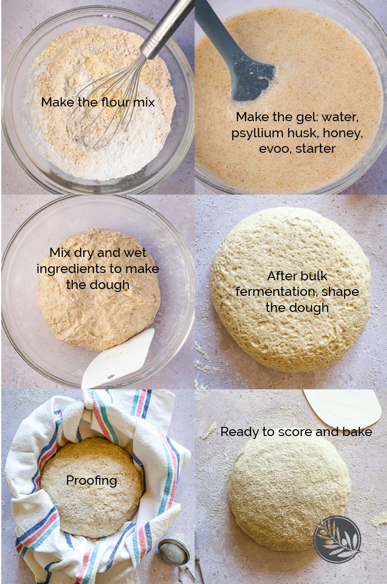 The Beginner's Guide to Baking Gluten-Free Sourdough Bread - Creative ...
