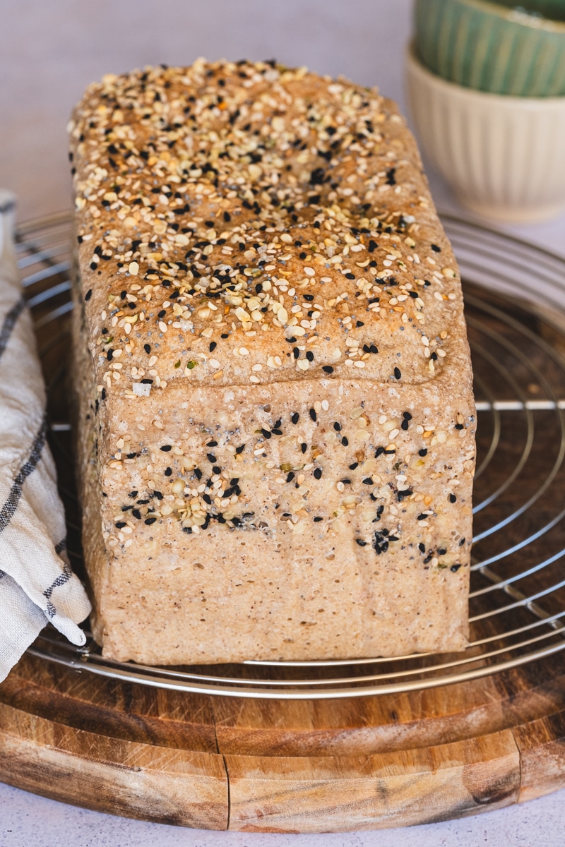 Sorghum Sandwich Bread (Gluten-Free) - Creative in My Kitchen