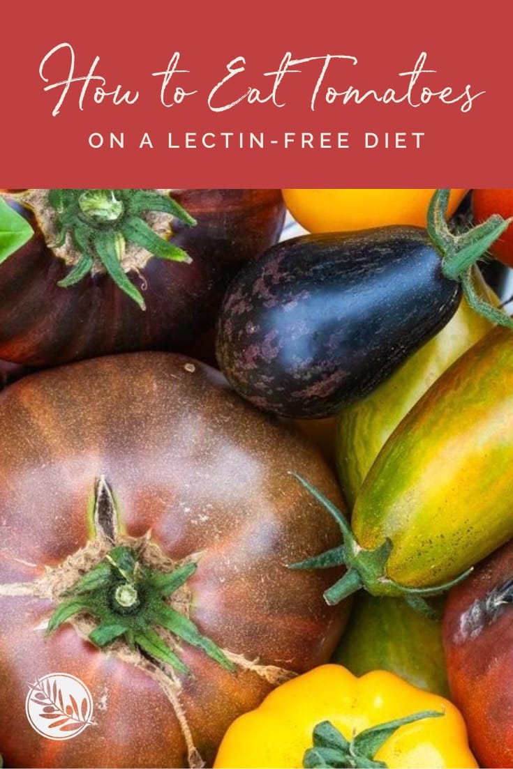 Lectins in Tomatoes: How to Enjoy Tomatoes on a Lectin-Free Diet ...