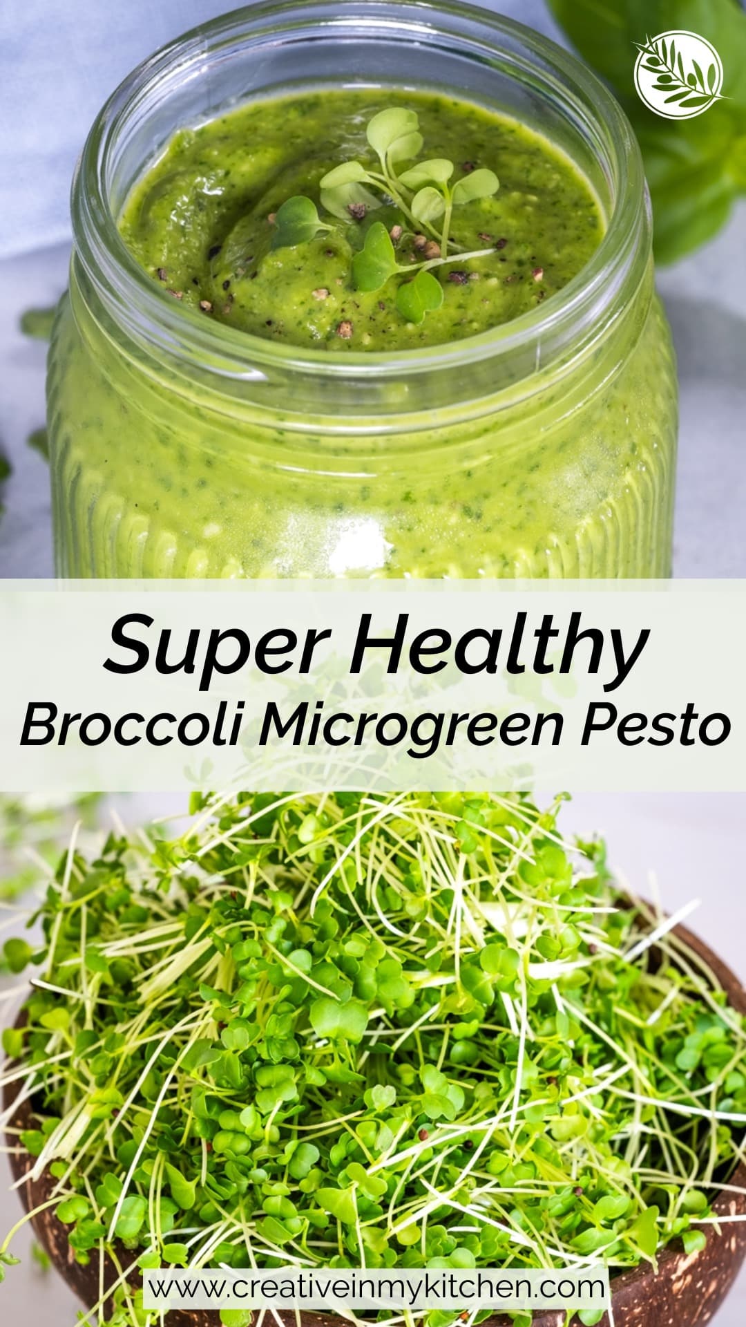 Super Healthy Broccoli Microgreen Pesto - Creative in My Kitchen